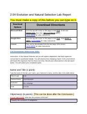 Exploring Natural Selection Evolution Lab Report Analysis Course Hero