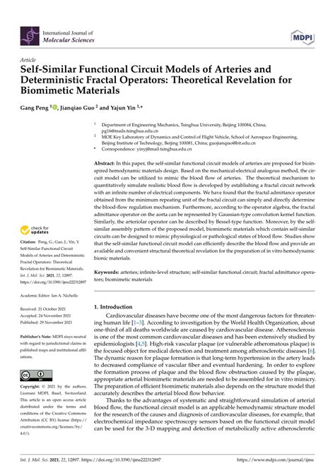 Pdf Self Similar Functional Circuit Models Of Arteries And Deterministic Fractal Operators