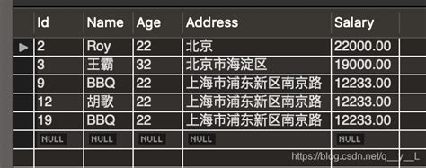 Dapper的介绍和使用 Csdn博客
