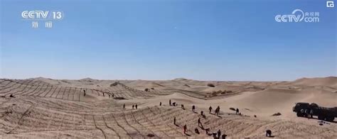 植此青绿1亿亩各地因地制宜推进重要生态系统保护与工程修复 新闻频道 央视网 cctv