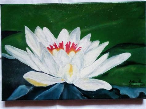 Loto Bianco Olio Su Tela X
