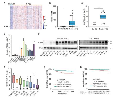 Aps｜武汉科技大学祝海川张同存团队揭示fgfr1抑制剂耐药新机制 知乎