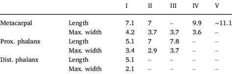 Measurements Of The Manus Of Lumkuia Fuzzi Bp 1 2669 In Millimetres