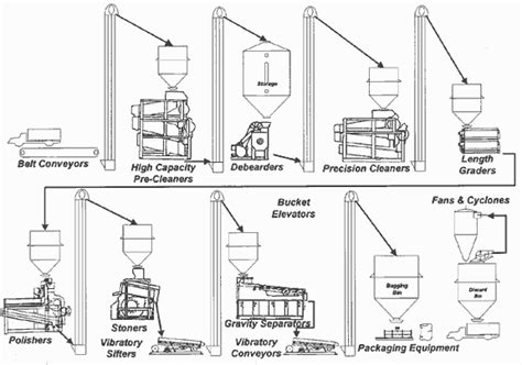 Seed Processing Equipment