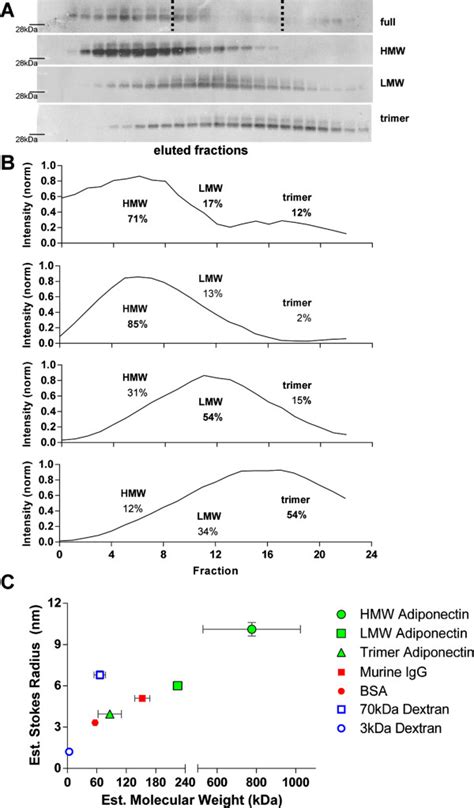 Production And Characterization Of Murine Adiponectin Oligomers A