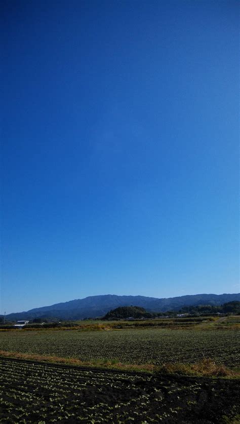 最高の秋晴れ 特定非営利活動法人笑福会