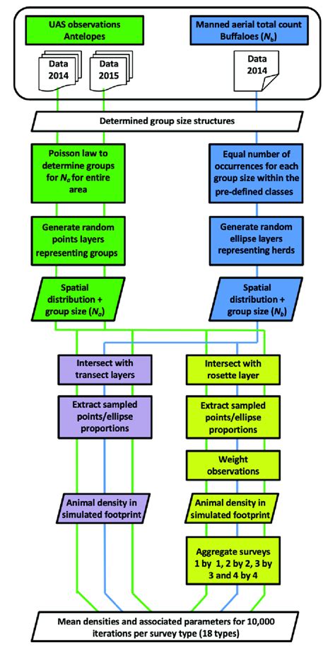processes followed to simulate results of sample counts for both