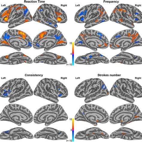 Brain Regions Correlated To Reaction Time Rt Download Table