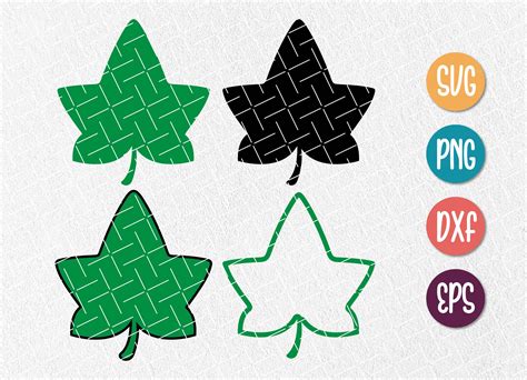 Aka Ivy Leaf Png
