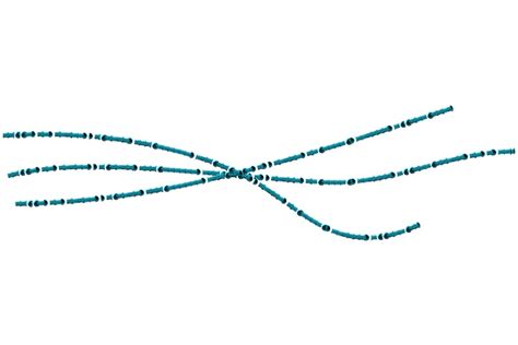 Fantasy Line Divider A409 Graphic By PubliKado Creative Fabrica