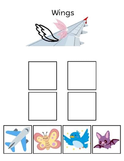 Sorting Class And Features Freebie By Nataliab Bcba Tpt