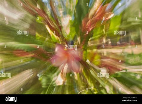 Icm Intentional Camera Movement Photography Intentional Blurring