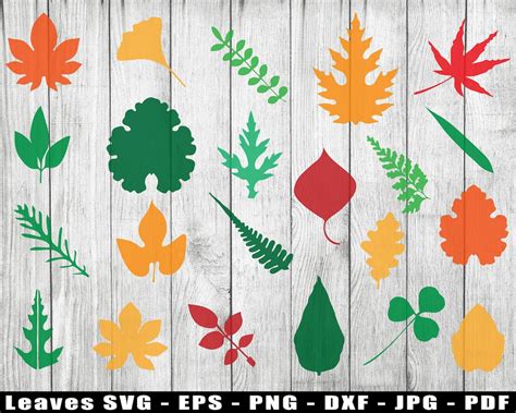 Leaves Svg Cut File Colour Leaves Silhouettes Svg Iron On Leaves Png