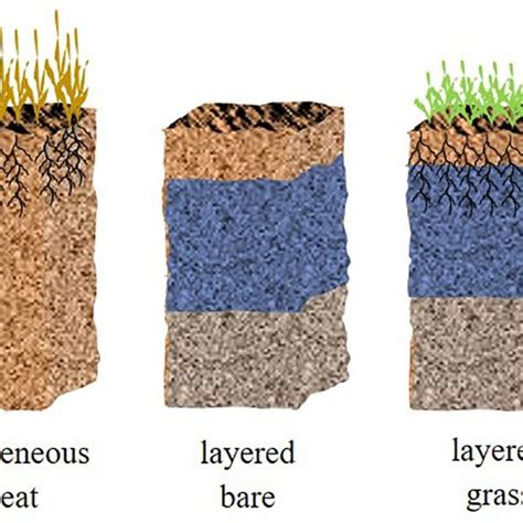 Schematic Sketch Of The Seven Different Scenarios Used For The Modeling