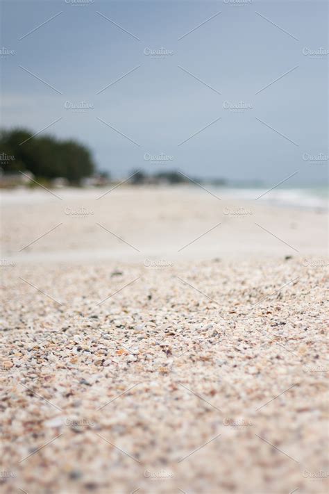 Tiny Shells On The Beach ~ Nature Photos ~ Creative Market