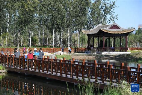 北京海淀：湿地公园让城市更美好 新华网客户端