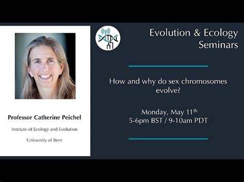 Free Video How And Why Do Sex Chromosomes Evolve From Evoecoseminars