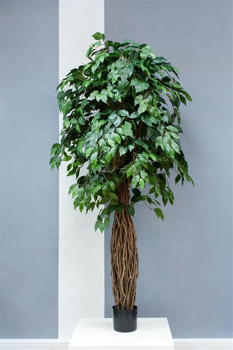 Artificial Ficus Benjamina Liana 180cm Green
