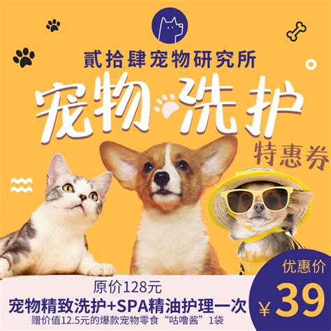 宠物洗护海报 宠物海报 宠物食品海报 大山谷图库