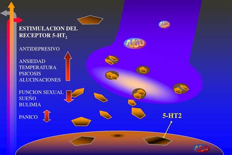 Ppt Los Antidepresivos Powerpoint Presentation Free Download Id