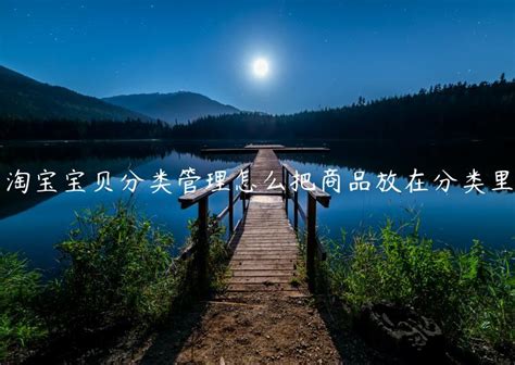淘宝宝贝分类管理怎么把商品放在分类里 幕思城