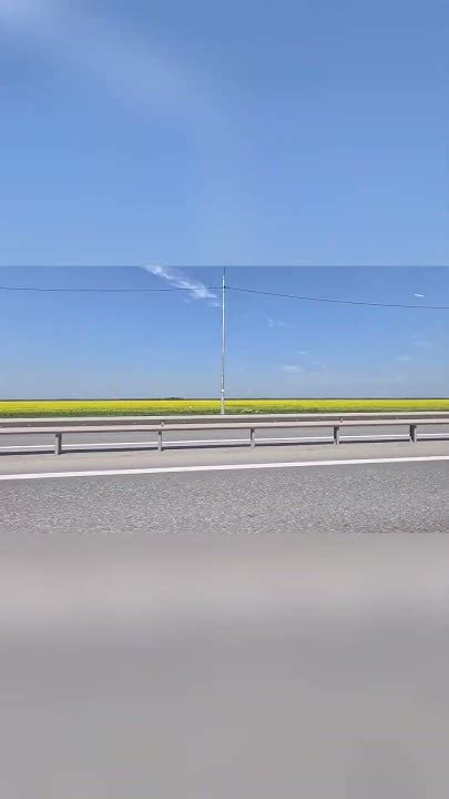 Вдоль рапсовых полей лето 2024 Nature Auto Travel Youtube