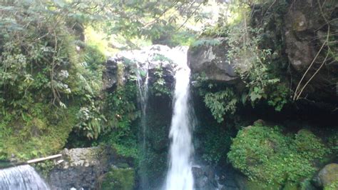 Curug Gomblang Surga Tersembunyi Di Tengah Hutan Jawa Tengah