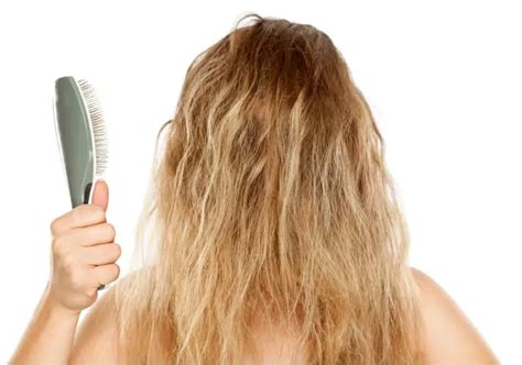 How To Get Rid Of Frizzy Hair Permanently Bestcheck
