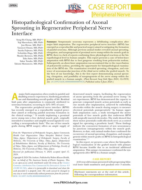 Pdf Histopathological Confirmation Of Axonal Sprouting In