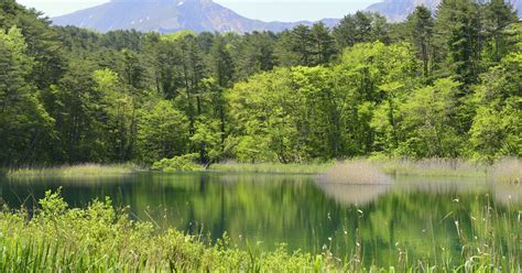 里磐梯目的地官方日本国家旅游局 JNTO
