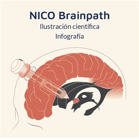 Portfolio Mikelgraphicscience