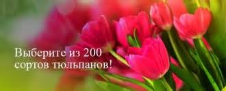 Интернет-магазин семян, цветов и саженцев Процветок. Купить семена ...