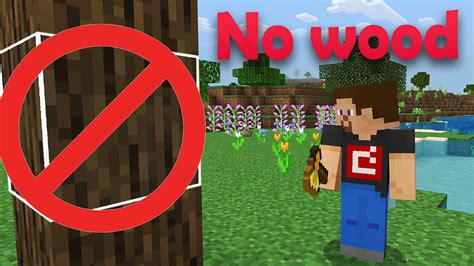 Beating Minecraft Without Wood Youtube