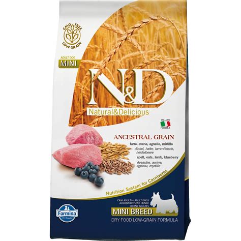 10 Best Dog Foods For Morkies In 2025 Reviews And Top Picks Dogster