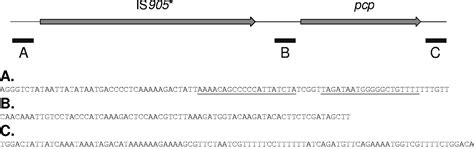 Complete Genome Sequence Of The Prototype Lactic Acid Bacterium Lactococcus Lactis Subsp