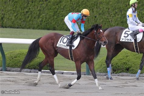 プロミストウォリア Promised Warrior 競走馬データベース 競馬ラボ