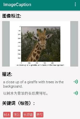 使用深度学习和多模态注意力自动生成图像标题 Computer Animation and Virtual Worlds X MOL