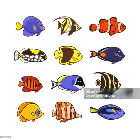 귀여운 물고기 벡터 일러스트 아이콘 세트입니다 열 대 물고기 바다 물고기 수족관 물고기 귀여운에 대한 스톡 벡터 아트 및 기타 이미지 Istock