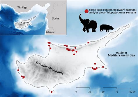 Cyprus Map And Fossil Sites News