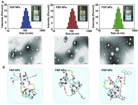 Preparation Characterization A Size Distribution Measured Using The