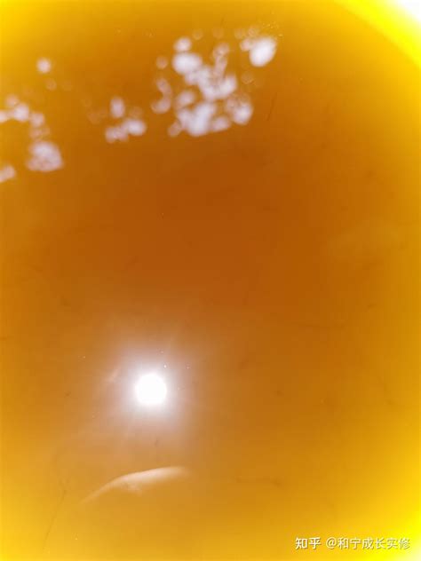 酵素养油实操记录2 知乎