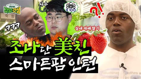조나단 농업 회사에 취직하다 플랜티팜 편 Youtube