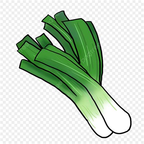 Gros Oignon Png Vecteurs PSD et Icônes Pour Téléchargement Gratuit