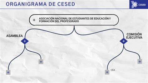 Branching Diagram