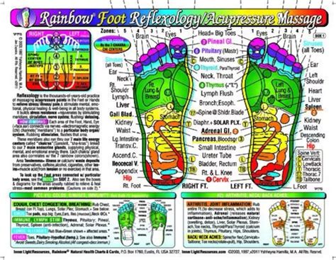 Acupuncture And Reflexology Reflexology Charts Posters And Cards