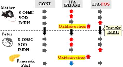 科学网—口服寡聚糖提高肠道菌群产氢气预防小鼠胎儿氧化应激 孙学军的博文