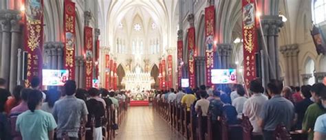 上海教区圣依纳爵主教座堂隆重庆祝本堂瞻礼 信德文化学会 信德网