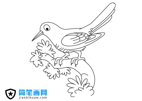 一只站在树枝上的布谷鸟简笔画图片 简笔画网
