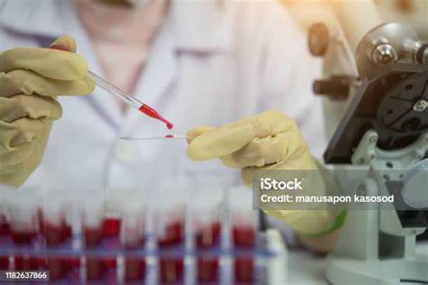 퇴적물을 검사한 후 의료 혈액 샘플을 제자리에 두는 실험실 작업자 Stem 주제에 대한 스톡 사진 및 기타 이미지 Stem