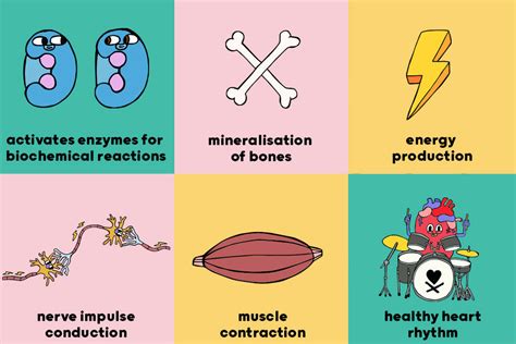 Common Nutrient Deficiencies You Might Be Struggling With Jimmy Joy